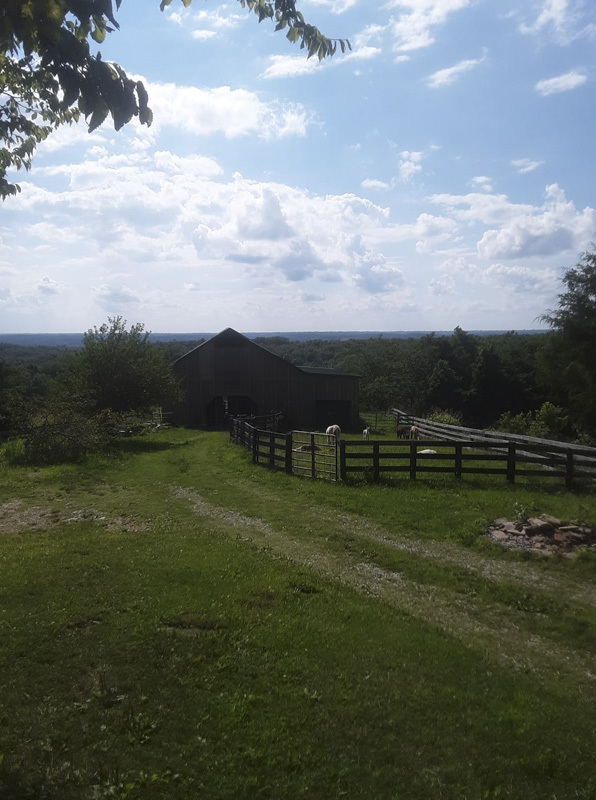 Adult — Farm Scene