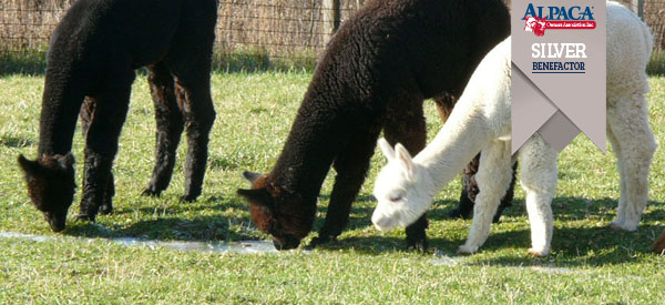 Alpaca Owners Association, Inc. - Home