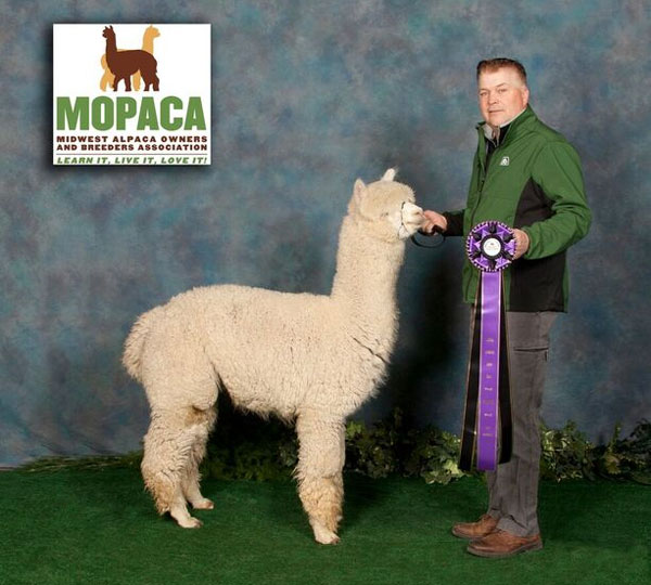Alpaca Owners Association, Inc. AlpacaGram 11.10 | Online Herdsire ...